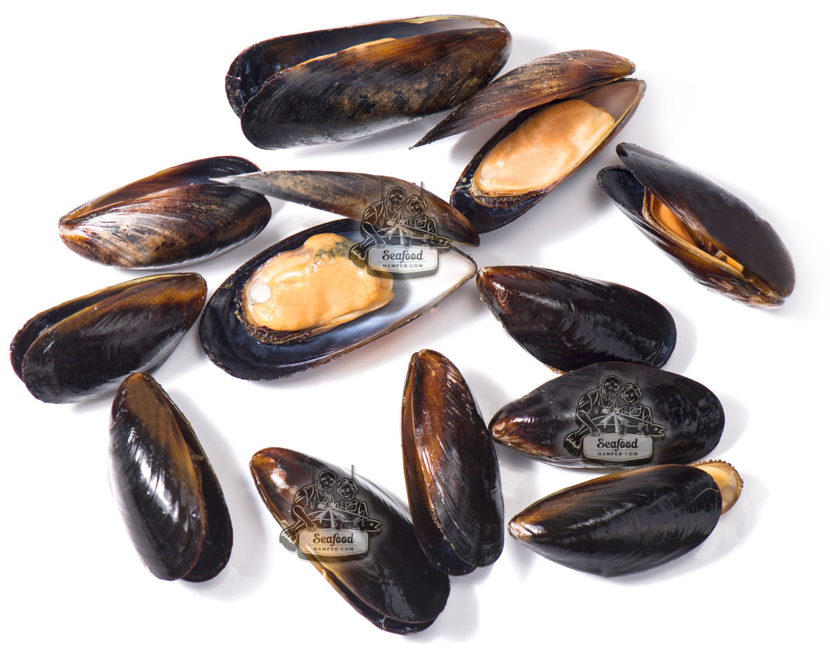 Frozen Whole Shell Mussel 全壳蚝- 1kg/pkt - Seafood Hamper