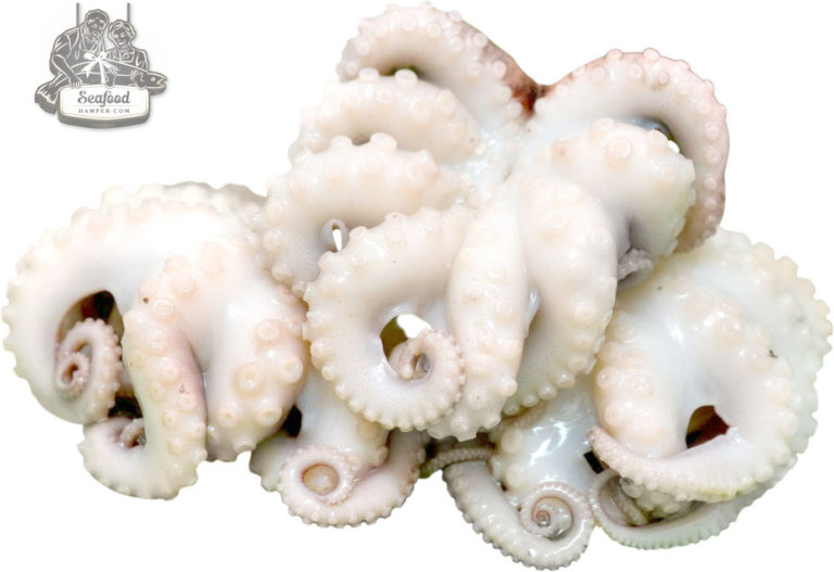 Frozen Mini Octopus – 200gm/pkt – Seafood Hamper