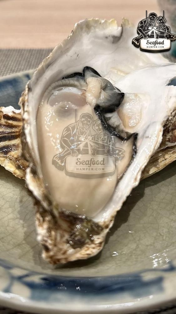 Frozen Japan Oyster (sashimi grade)刺身生蚝(5pcs) - Seafood Hamper
