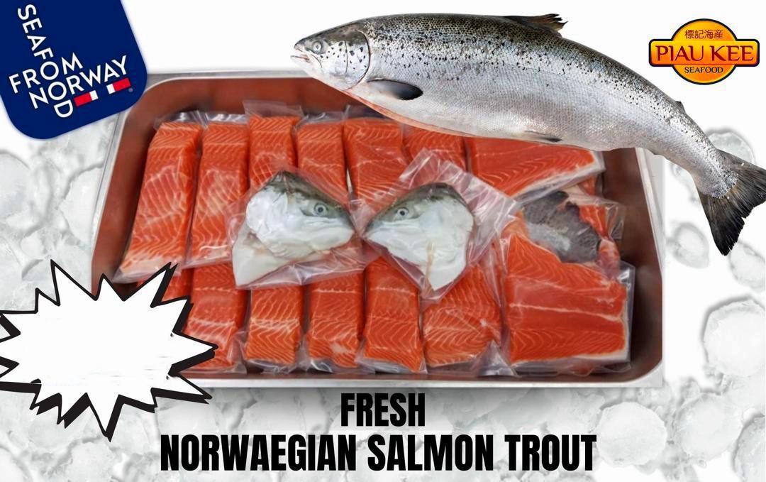 [Pre-order] Norway Fresh Salmon (Whole) (Sashimi Grade)挪威冰鲜三文鱼 刺身级别 4kg ...